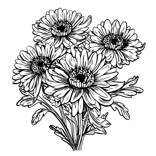Aster Drawing Vector Images (over 3,200)