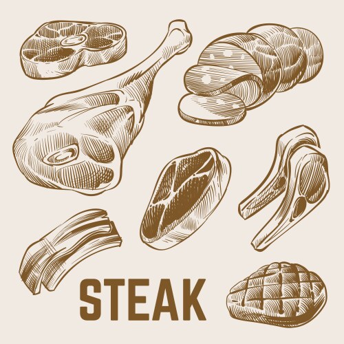 Raw meat set drawing hand drawn beef steak Vector Image