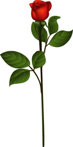 Two red roses Royalty Free Vector Image - VectorStock