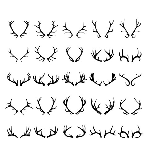 Deer horns Royalty Free Vector Image - VectorStock
