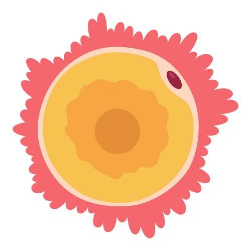 Human cell type icon medicine and biology Vector Image