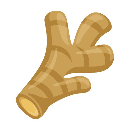 Roots Clipart Vector Images (over 2,400)