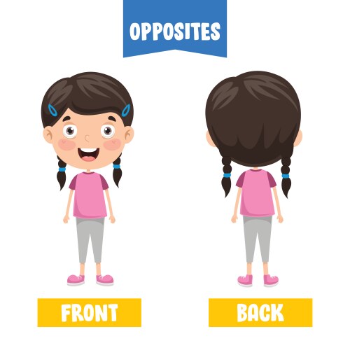 Opposites Front Back Vector Images (51)