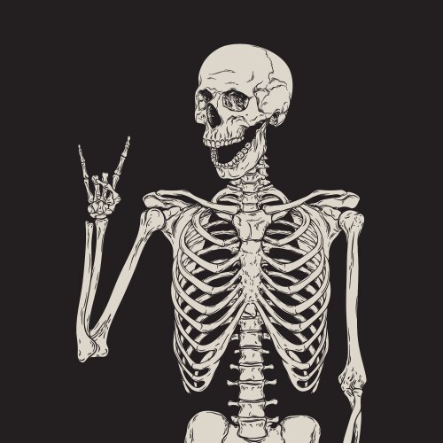 Human skeletons posing isolated over black Vector Image