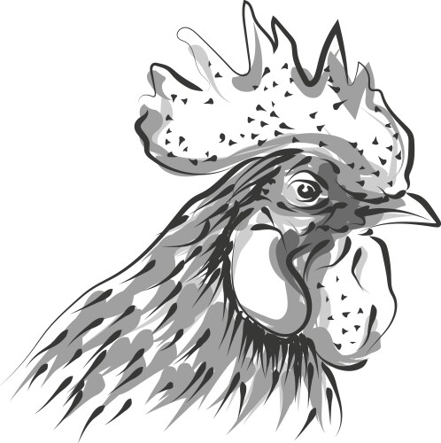 Rooster Outline Vector Images (over 6,300)
