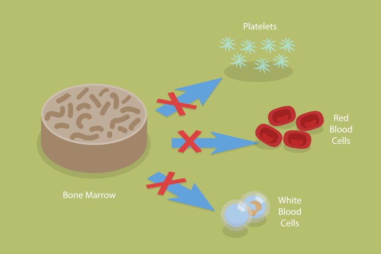 Anaemia Poster Vector Images (89)