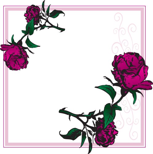 Rose Frame Vector Images Over 71 000