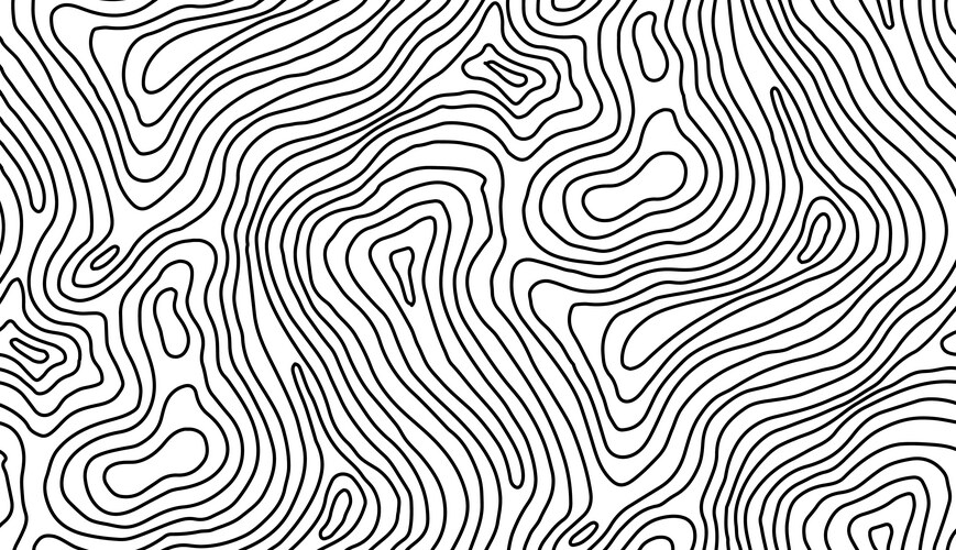 Seamless topographic map texture line topography Vector Image