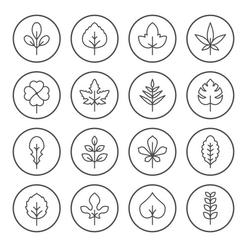 Round Leaf Vector Images (over 82,000)