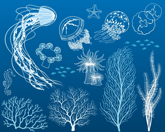 Underwater design elements Royalty Free Vector Image
