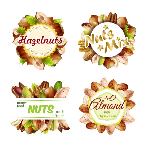 Nuts logo set labels with macadamia pecan Vector Image