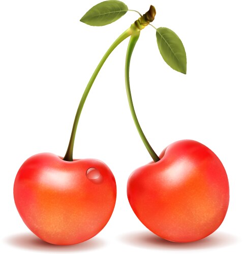 Three cherries with green Royalty Free Vector Image