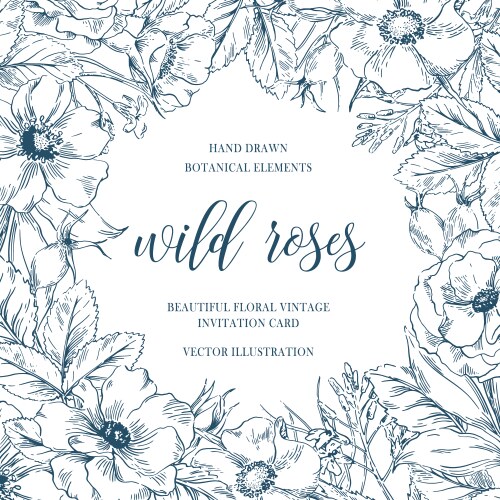 Wild roses floral frame Royalty Free Vector Image