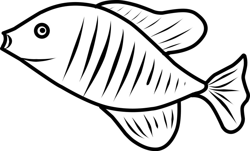 Cute fish outline coloring page isolated on white Vector Image