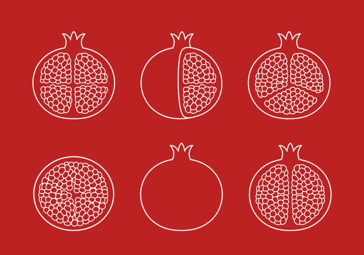 Pomegranate tree Royalty Free Vector Image - VectorStock