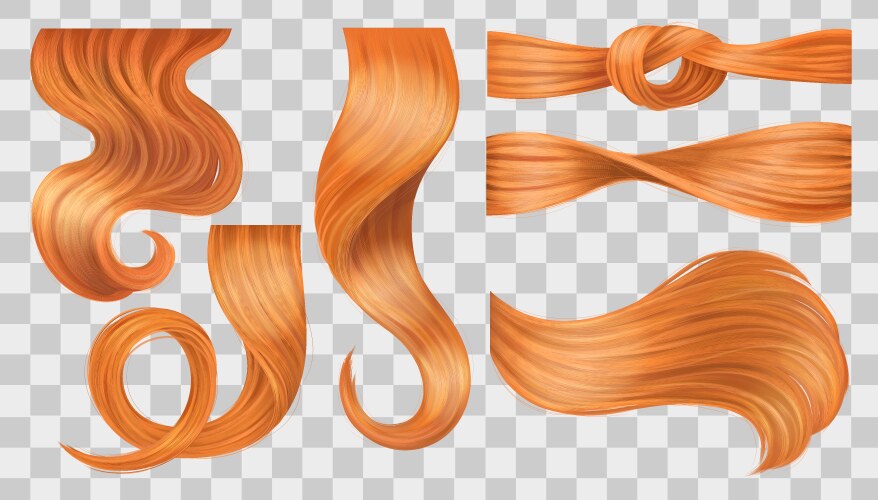 Curled hair strands Royalty Free Vector Image - VectorStock