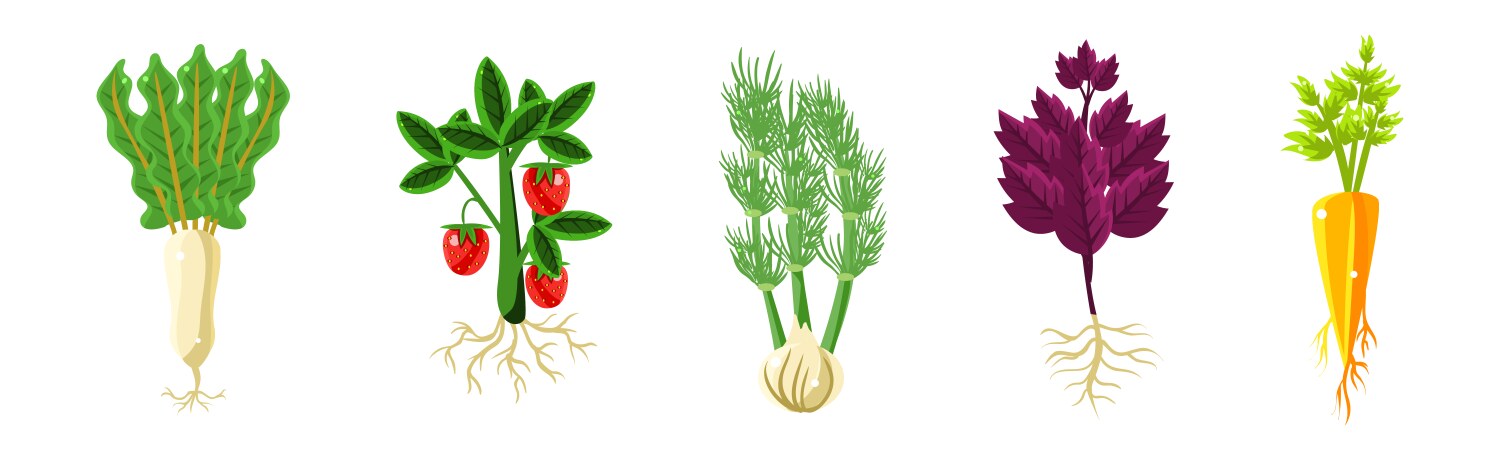 Plant Root Vector Images (over 50,000)