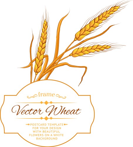 Wheat Vector Images (over 130,000)