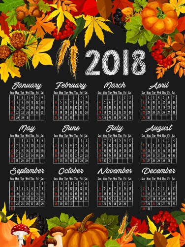 Autumn design card on chalkboard Royalty Free Vector Image
