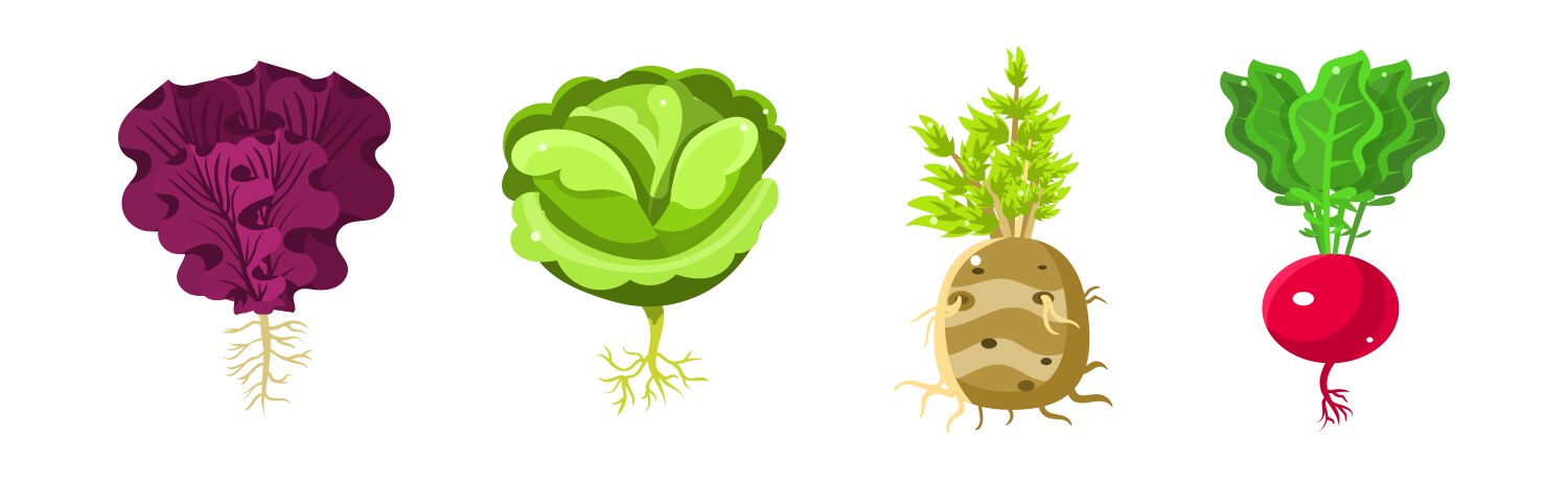 Plant Root Vector Images (over 50,000)