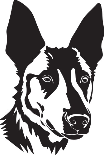 Australian kelpie - black and white Royalty Free Vector