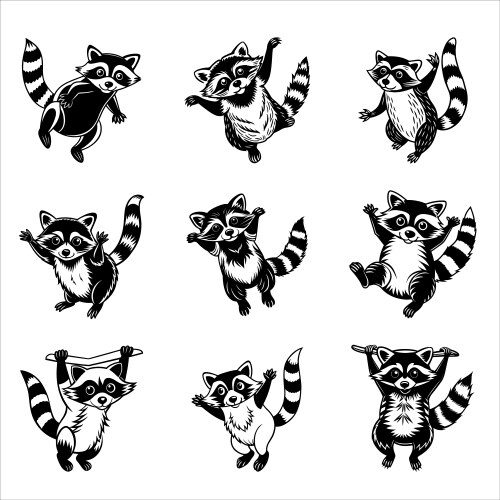 Raccoon hanging upside down svg Royalty Free Vector Image