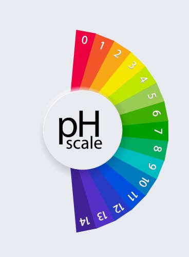 Ph Indicator Chart Vector Images (over 320)