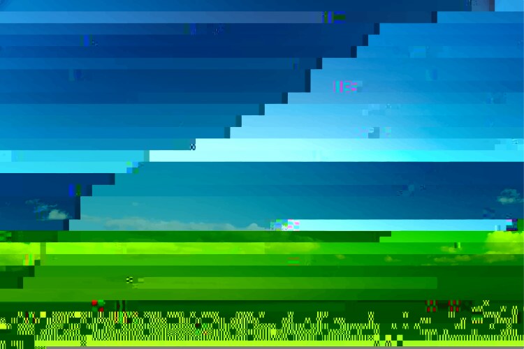 Glitch background corrupted image file Royalty Free Vector