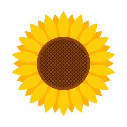 Sunflower cute icon in flat style on white Vector Image