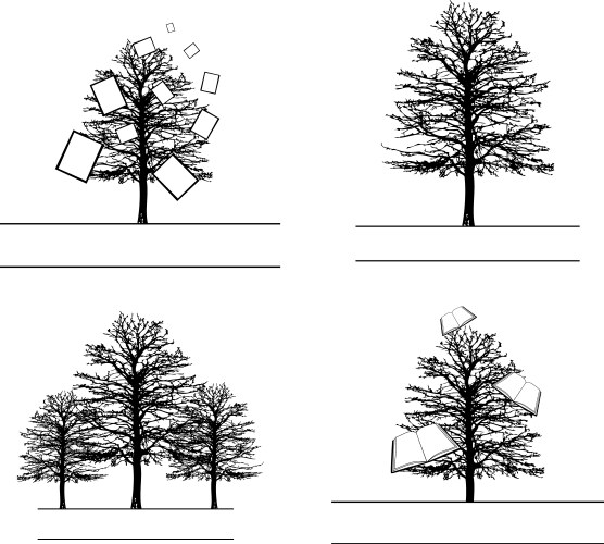 Kapok tree branch Royalty Free Vector Image - VectorStock