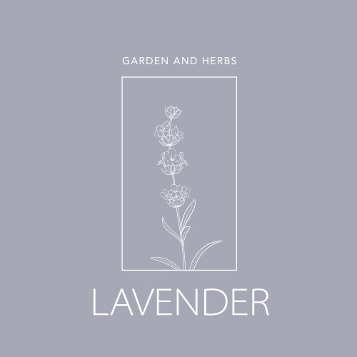 Lavender flower logo floral design label Vector Image