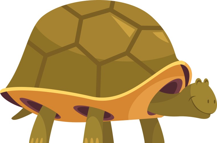 Cute turtle isolated icon Royalty Free Vector Image