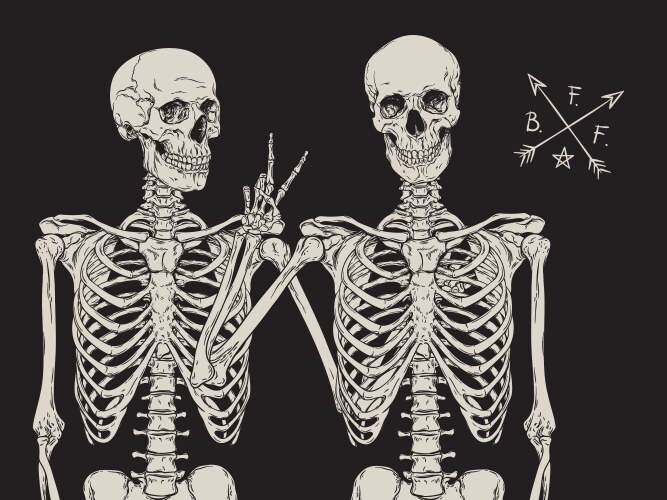 Human skeletons posing isolated over black Vector Image