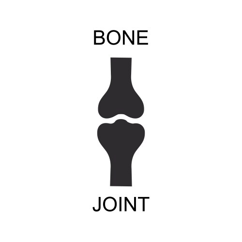 Human knee bone joint icon Royalty Free Vector Image