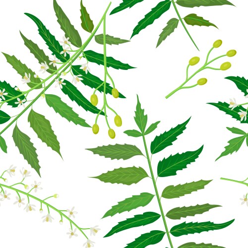 Neem Vector Images (over 700)