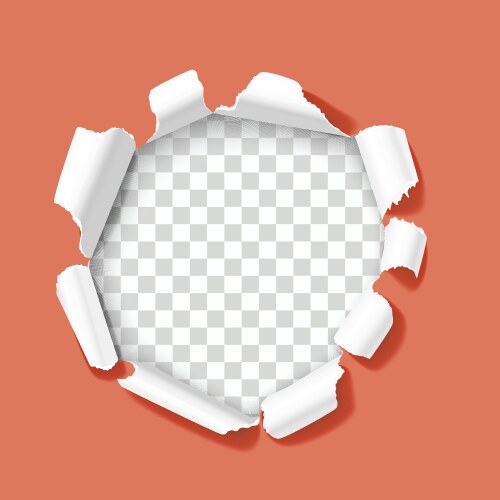 Torn hole in sheet gray paper on transparent Vector Image