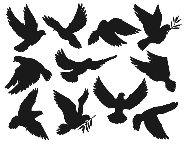 Dove Vector Images & Graphics for Commercial Use | VectorStock