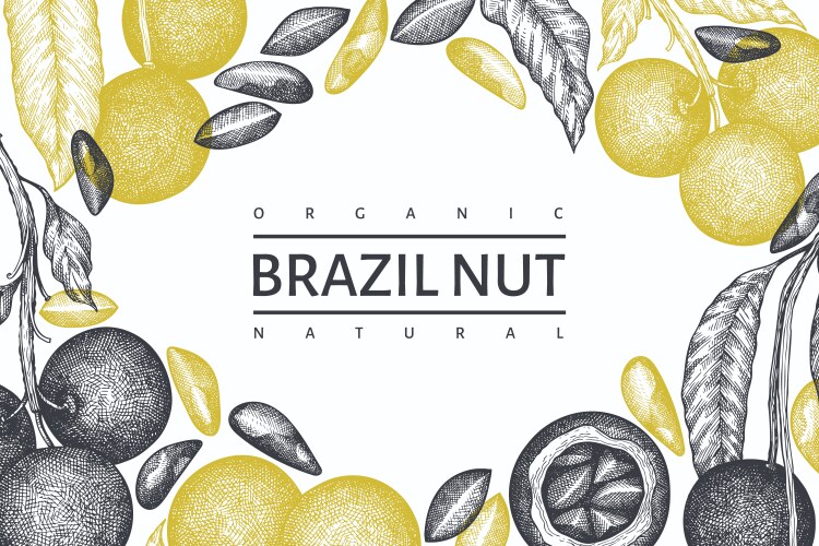 Hand drawn brazilian branch and kernels Royalty Free Vector