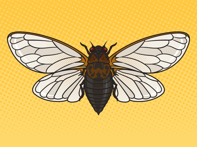 Cartoon Cicada Vector Images (over 150)