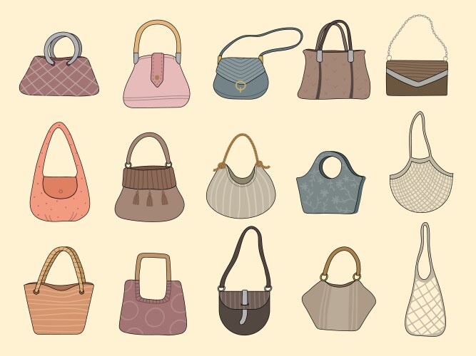 Bags models fashioned purses and grocery meshes Vector Image