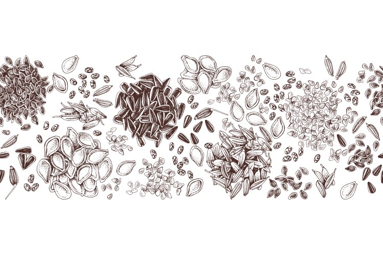 Seamless floral border Royalty Free Vector Image