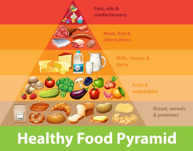 Healthy food pyramid chart Royalty Free Vector Image