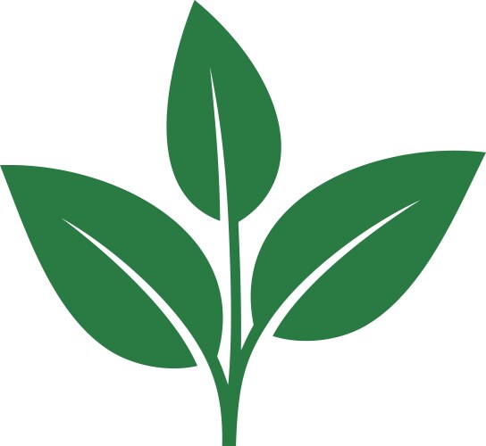 Tea Plantations Vector Images (over 1,300)