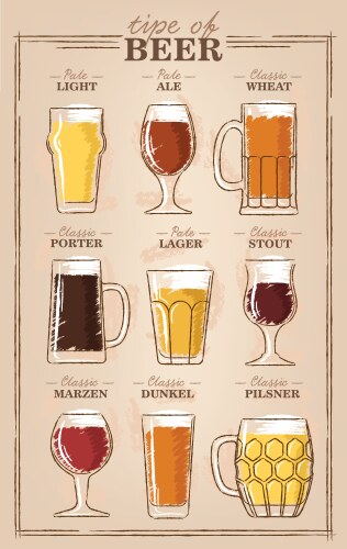 Types beer various Royalty Free Vector Image - VectorStock