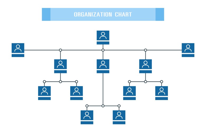 Organization chart tree company corporate Vector Image
