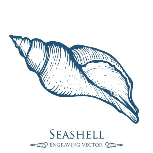 Oyster Royalty Free Vector Image - VectorStock