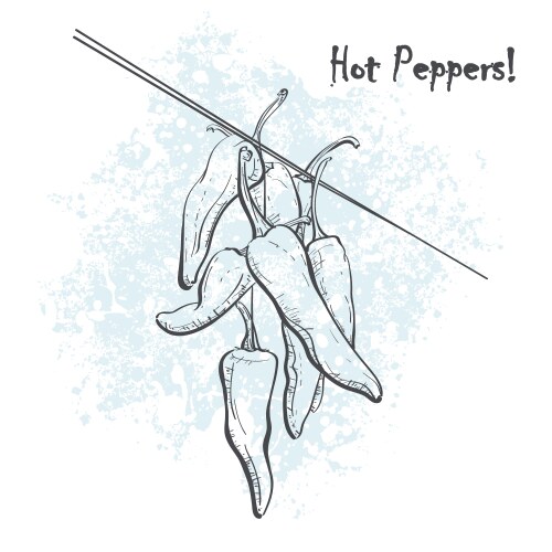 Capsicum Outline Vector Images (over 1,100)