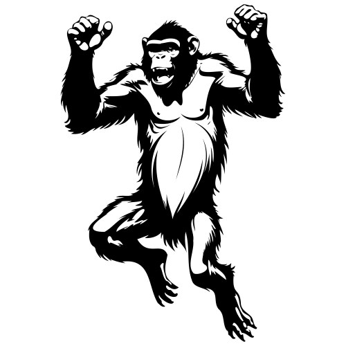 Ape Vector Images (over 29,000)