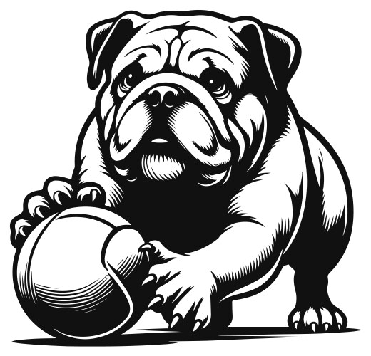 French bulldog fetching a ball silhouette design Vector Image French bulldog fetching a ball silhouette design Vector Image