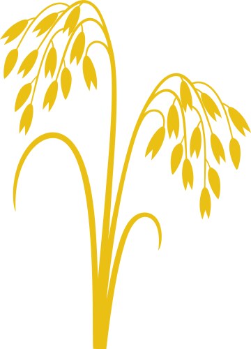 Different types cereals cereal grain agronomy Vector Image